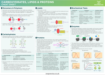 A-Level Biology AQA Notes: Lipids | A-Level Notes