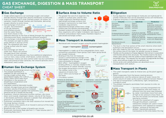 A-Level Biology AQA Notes: Gas exchange | A-Level Notes