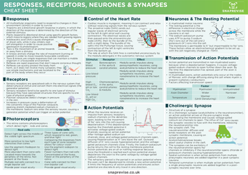 A-Level Biology AQA Notes: Nerve impulses | A-Level Notes