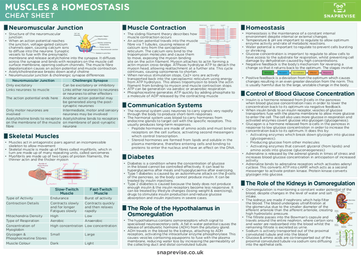 A-Level Biology AQA Notes: Principles of homeostasis and negative ...