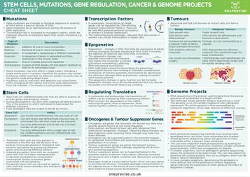 A-Level Biology AQA Notes: Most of a cell's DNA is not translated | A ...
