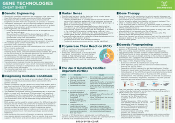 A-Level Biology AQA Notes: Genetic fingerprinting | A-Level Notes