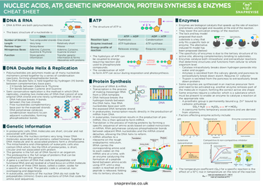 A-Level Biology OCR Notes: Enzymes | A-Level Notes