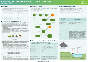 A-Level Biology AQA Notes: Nutrient cycles | A-Level Notes
